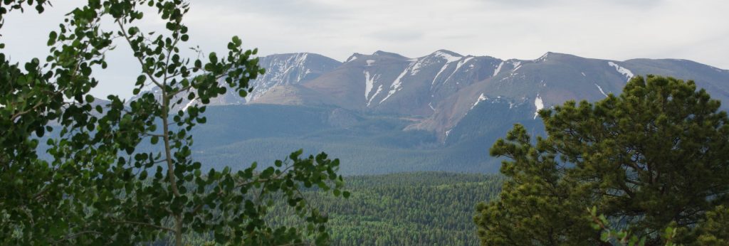 Gallery – Rocking M Ranch