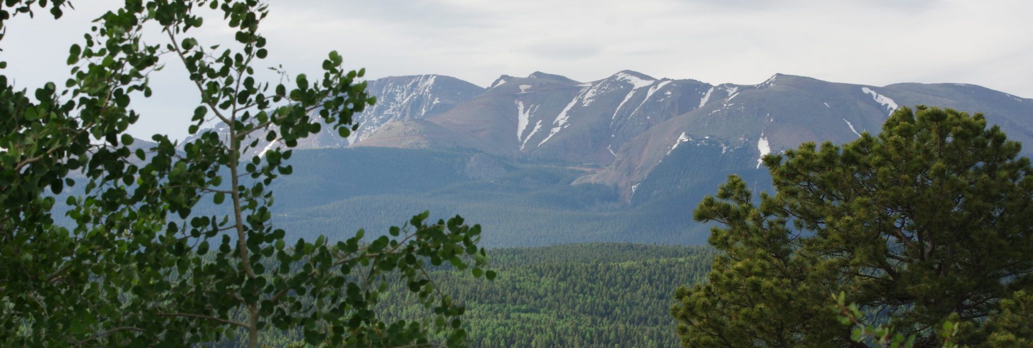 Gallery – Rocking M Ranch