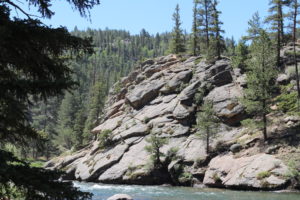 Gallery – Rocking M Ranch