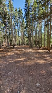 Camping – Rocking M Ranch