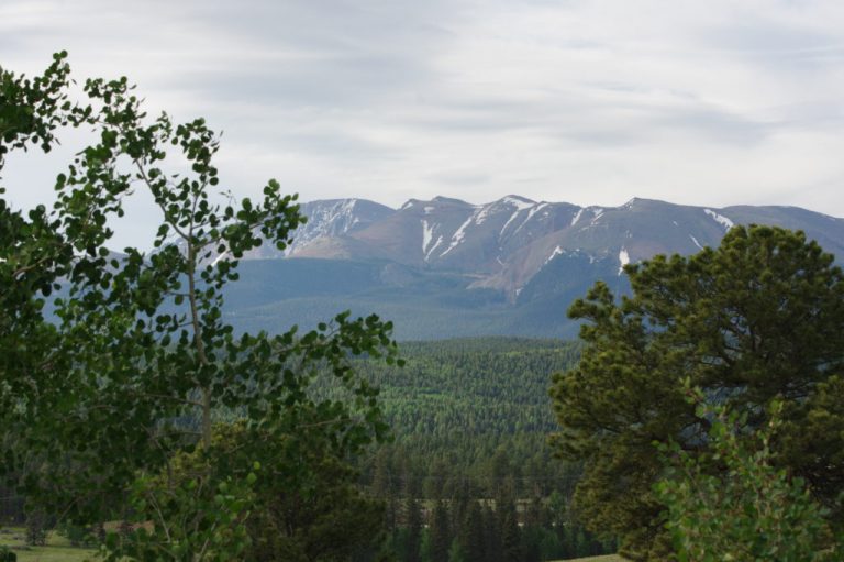 Gallery – Rocking M Ranch