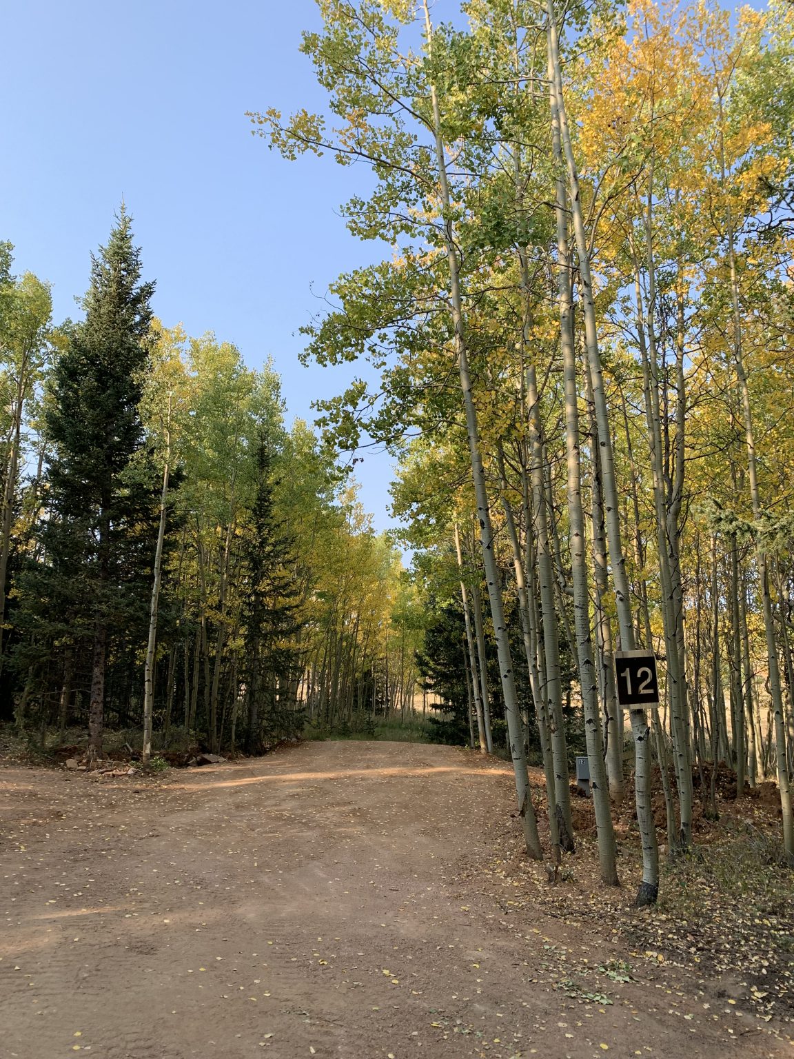 Gallery – Rocking M Ranch