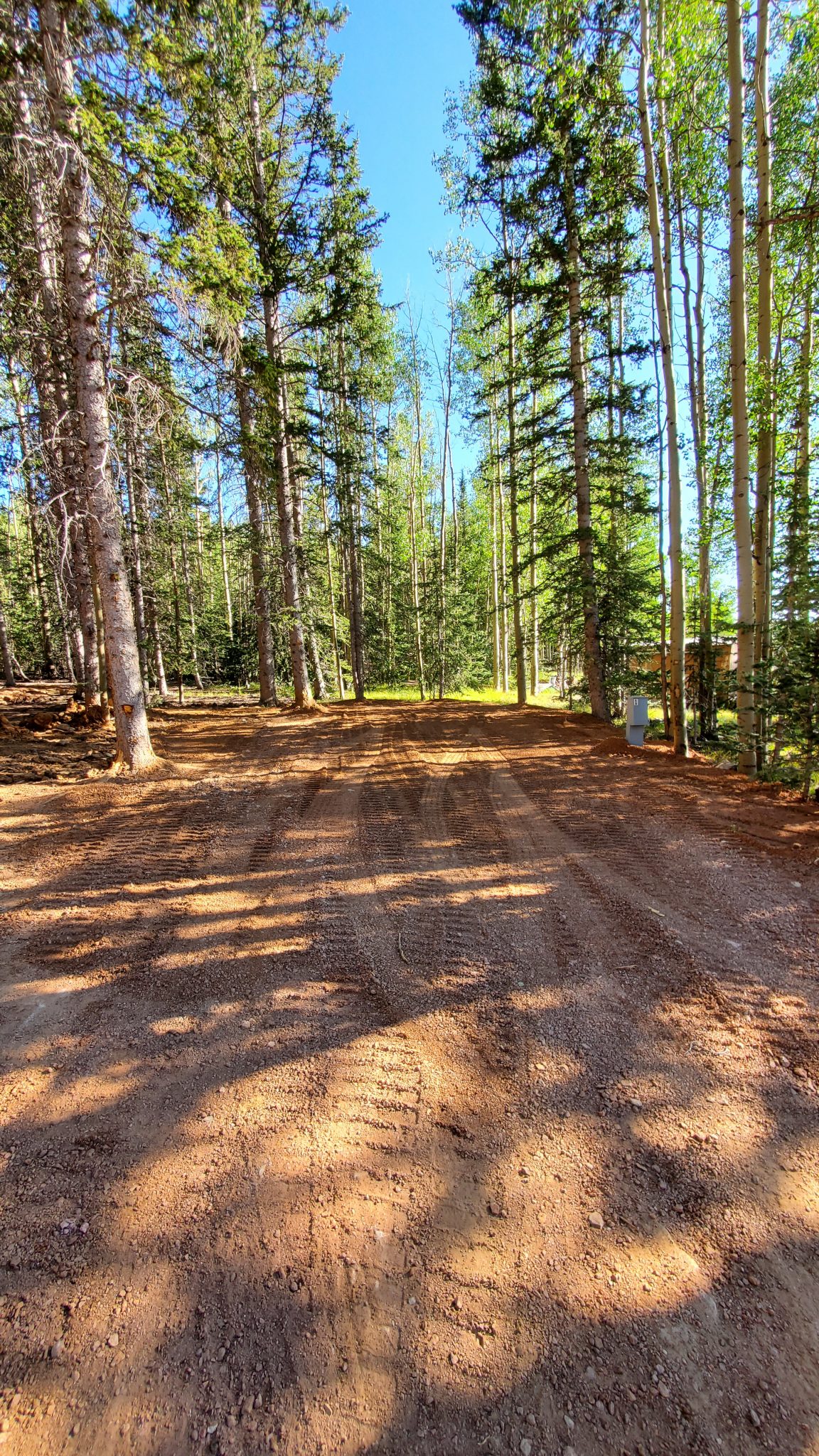 Gallery – Rocking M Ranch