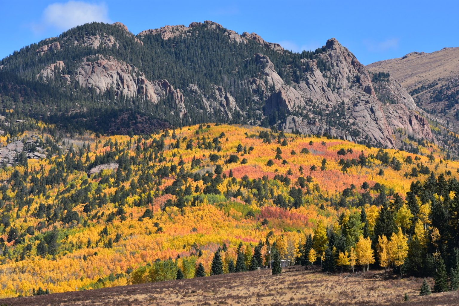 Gallery – Rocking M Ranch