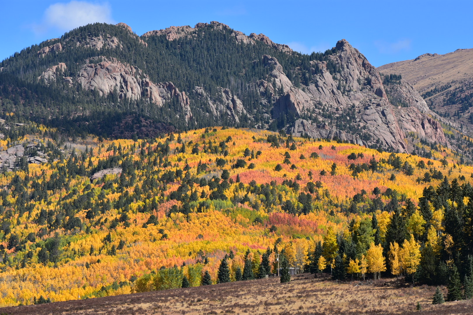 Gallery – Rocking M Ranch