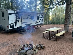 Gallery – Rocking M Ranch