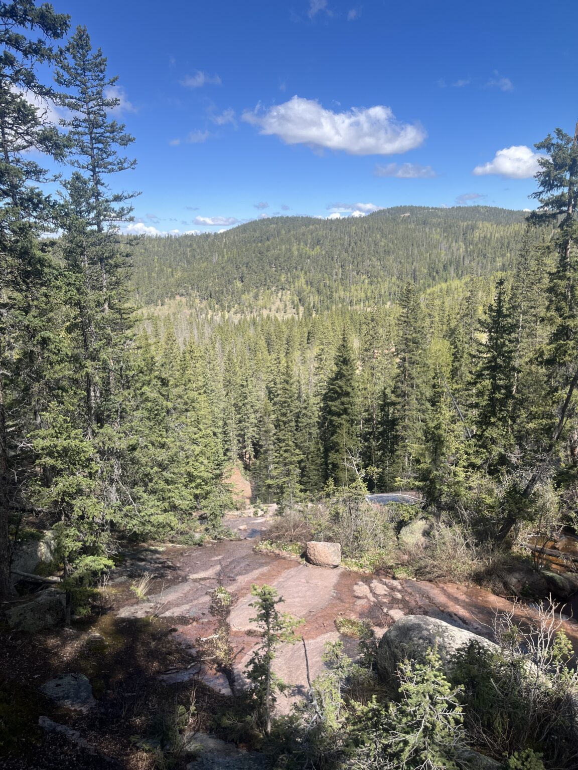 Gallery – Rocking M Ranch