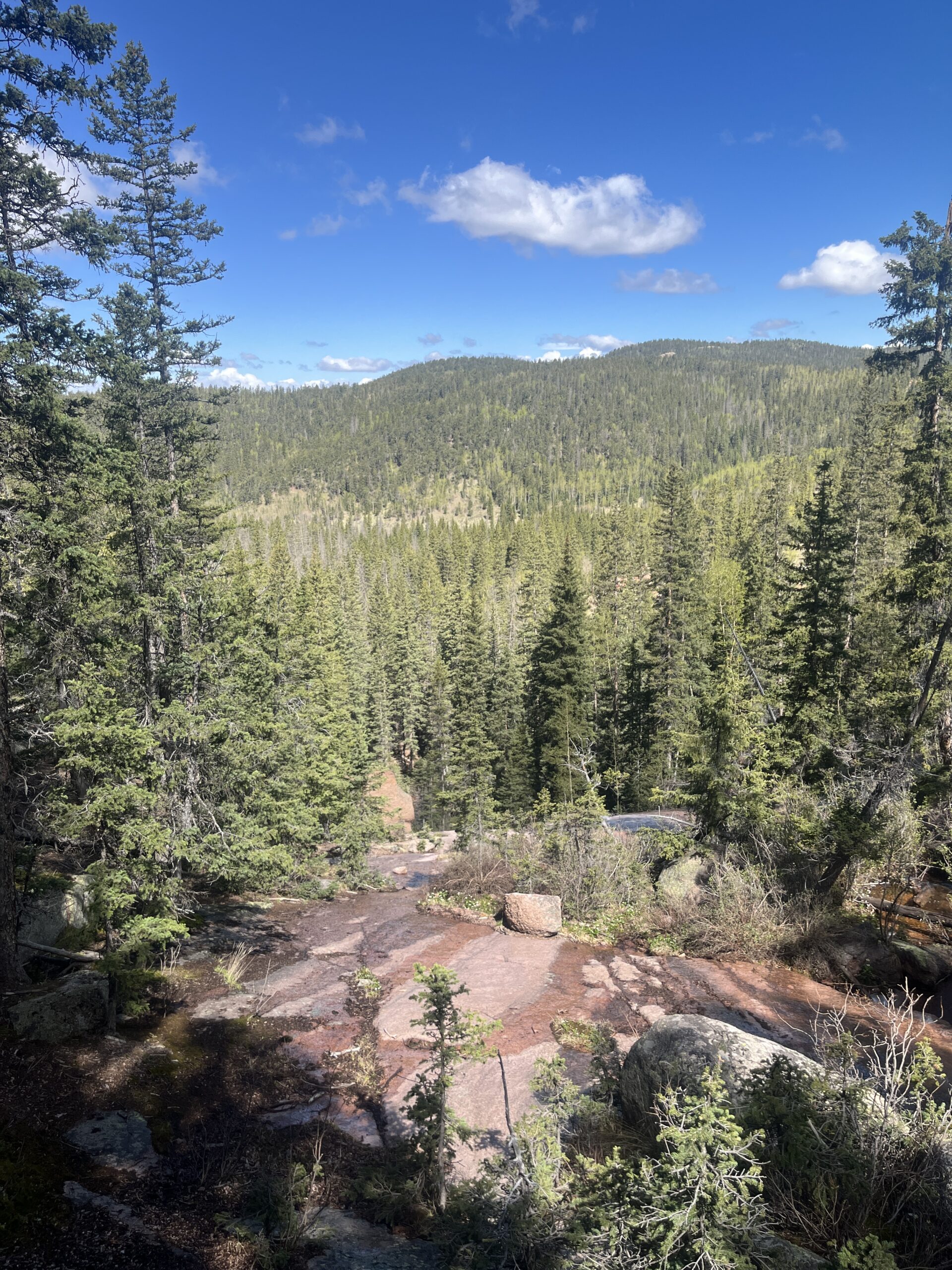 Gallery – Rocking M Ranch